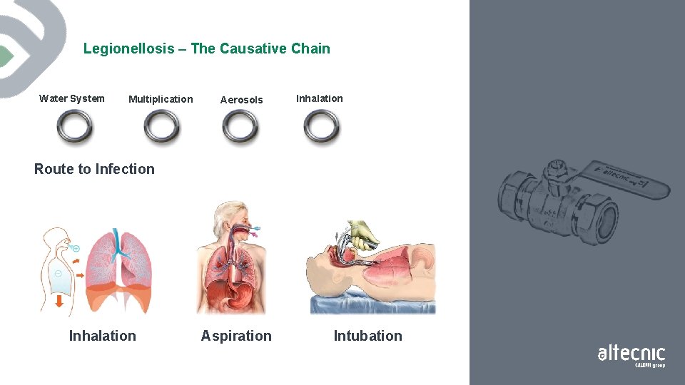 Legionella The History of Legionella Legionnaires Disease POINTS