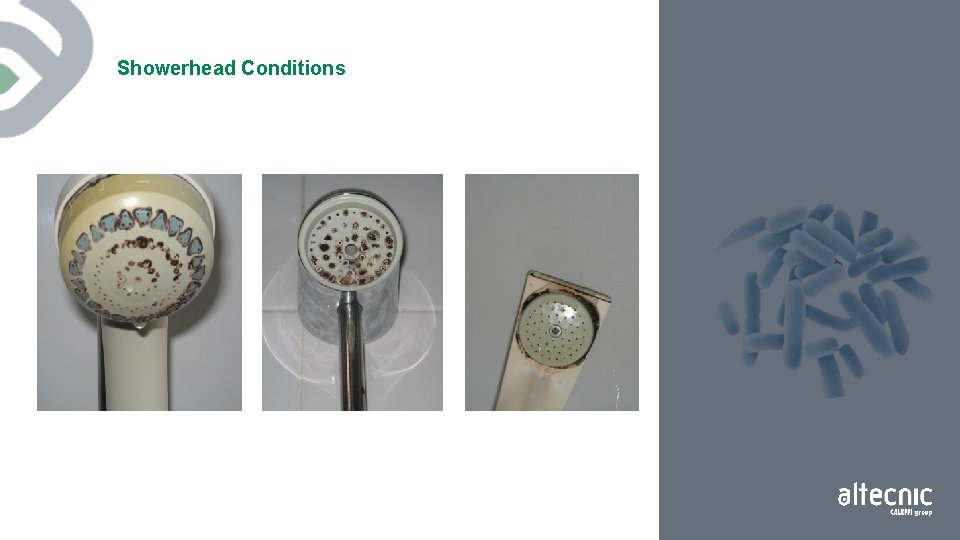 Legionella The History of Legionella Legionnaires Disease POINTS