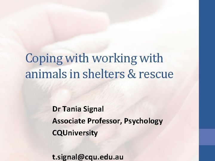Coping with working with animals in shelters rescue