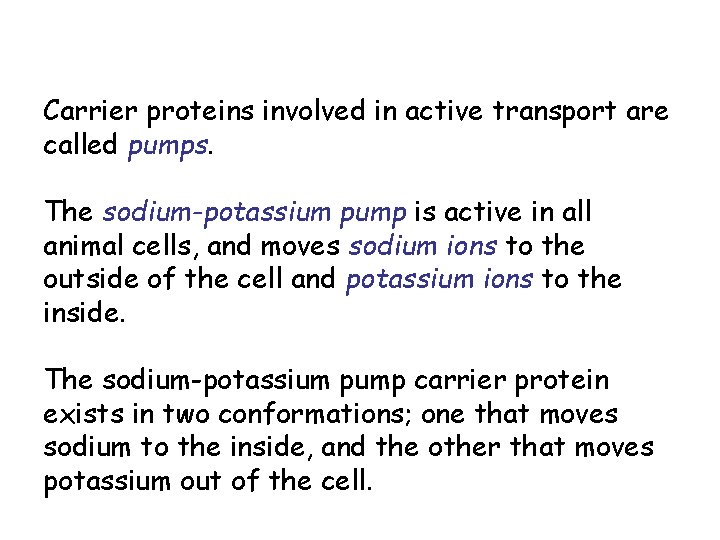 Cell membranes Plasma Membrane Structure and Function The