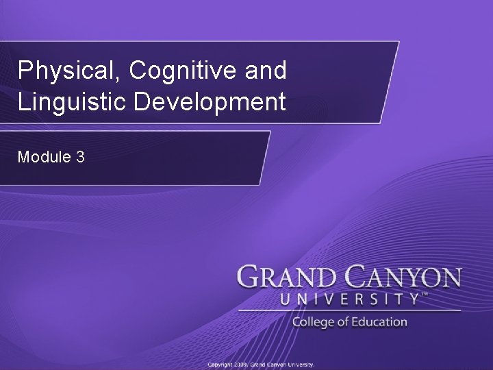 Physical Cognitive and Linguistic Development Module 3 Principles