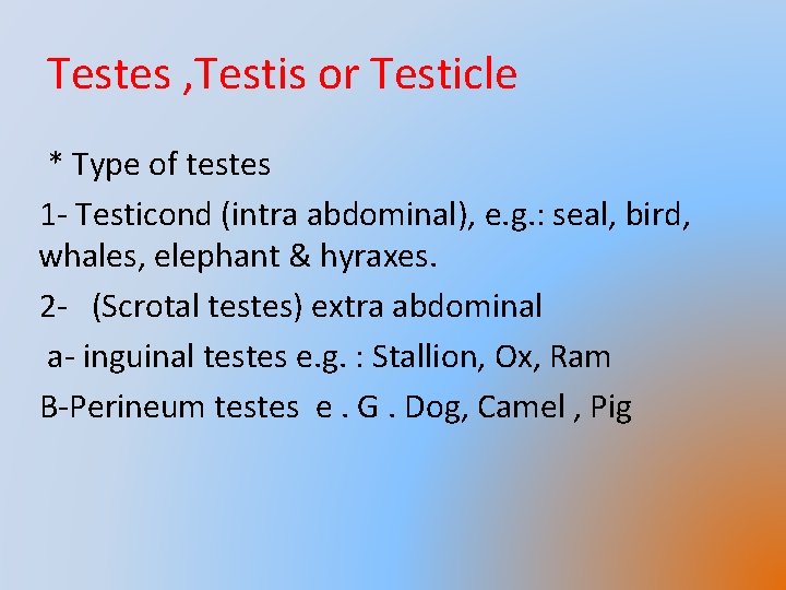 Male genital tract Dr Mazin albakri Male reproductive