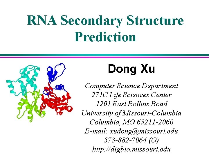 RNA Secondary Structure Prediction Dong Xu Computer Science