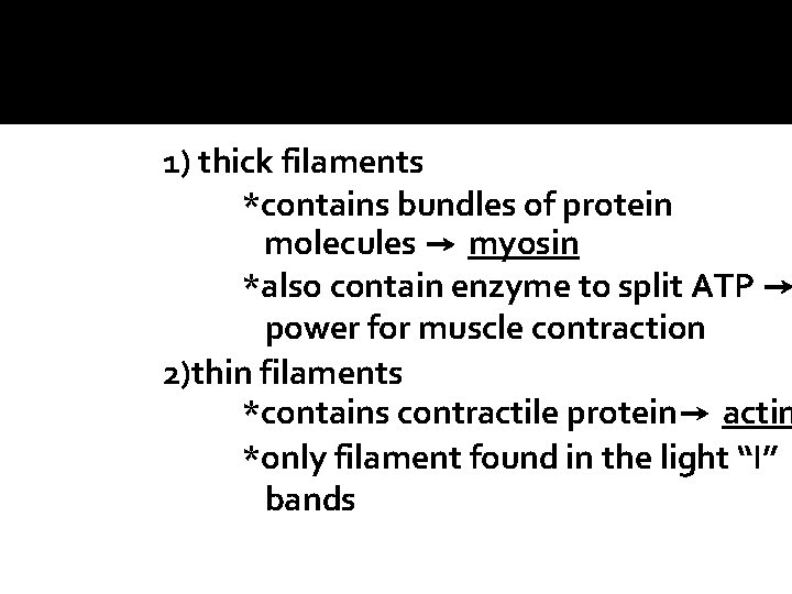 CHAPTER 6 A MUSCLES VOCABULARY 6 acetylcholine actin