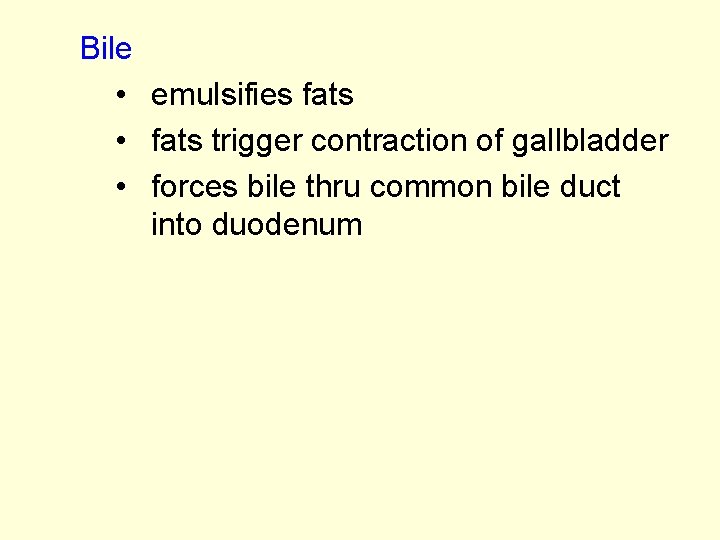 Small Intestineabout 20 feet 3 sections 1 duodenum