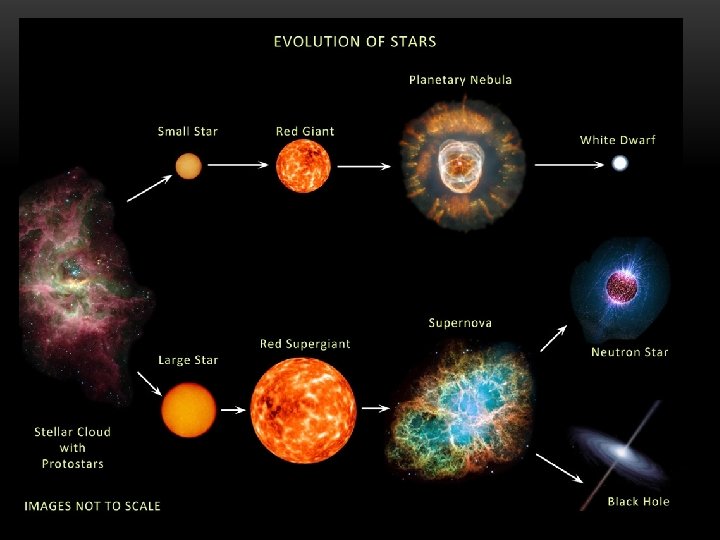 LESSON 5 THE LIVES OF STARS Stars are