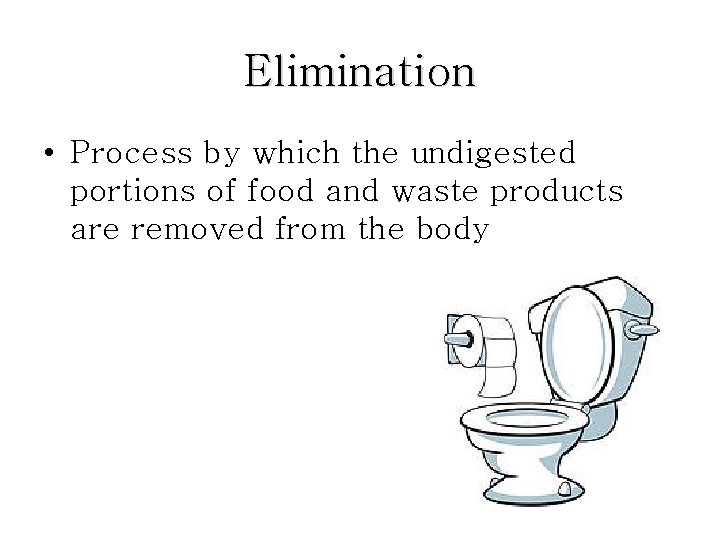 What Happens to the Food We Eat By