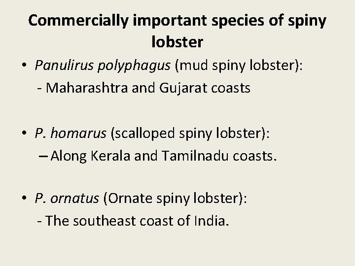 Mud crab culture Introduction Among the marine edible
