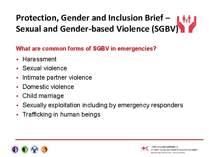 Protection Gender and Inclusion PGI Brief Sexual and
