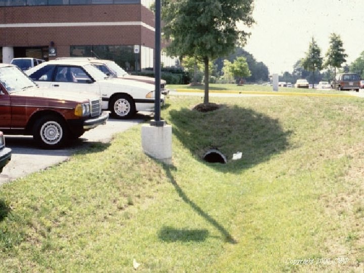 Design of Vegetative Filtering SystemsOpen Channels and Filter