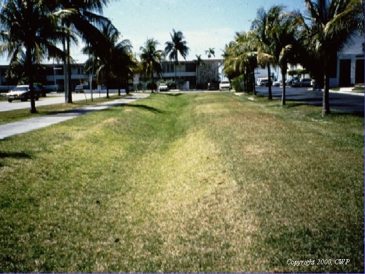 Design of Vegetative Filtering SystemsOpen Channels and Filter