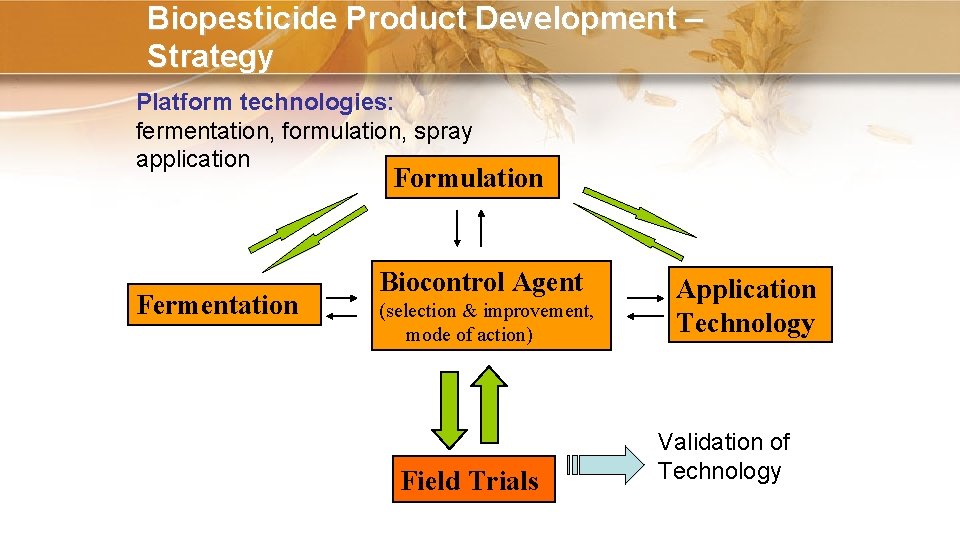 Developing Biopesticides from a Researchers Perspective Susan M