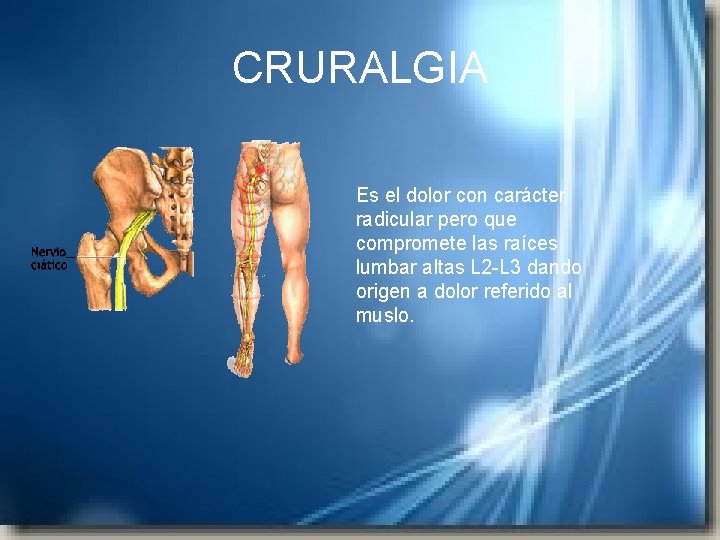 FUNDAMENTOS BIOLGICOS 4 A ARTICULACIN COLUMNA VERTEBRAL LUMBAR