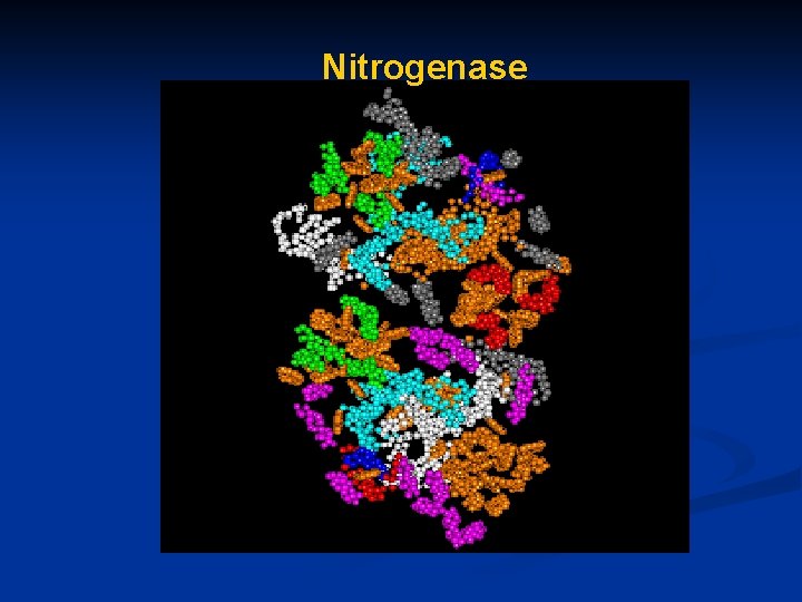 The Evolution of Earths Core Metabolism Frozen Metabolic