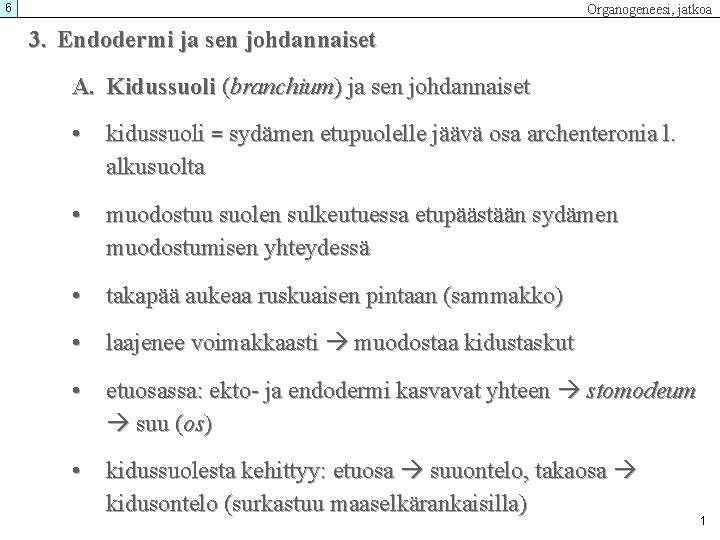6 Organogeneesi jatkoa 3 Endodermi ja sen johdannaiset