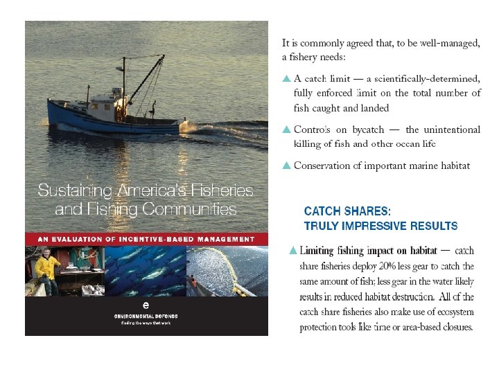 Dispatches from the Benthos Catch Shares and the