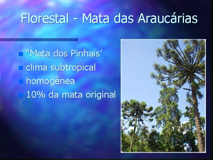 BIOMAS Paisagens naturais brasileiras Florestais n campestres n