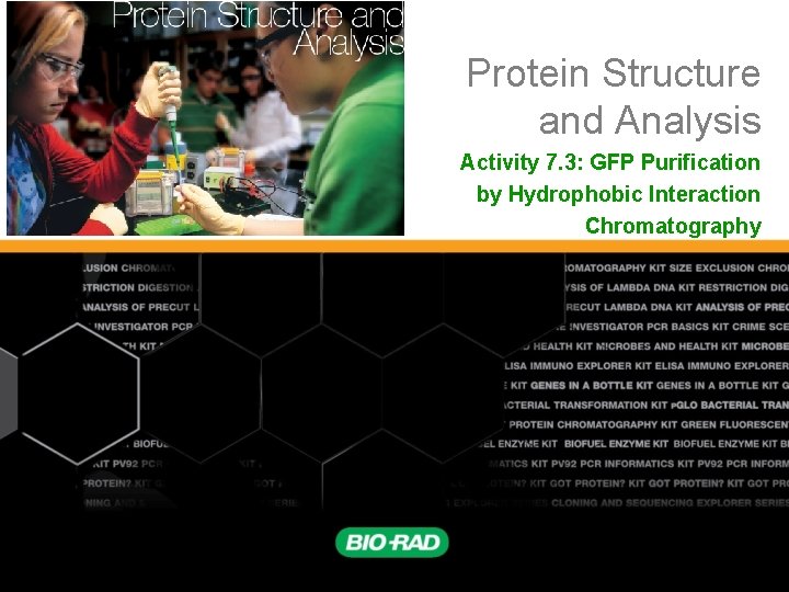 Protein Structure and Analysis Activity 7 3 GFP