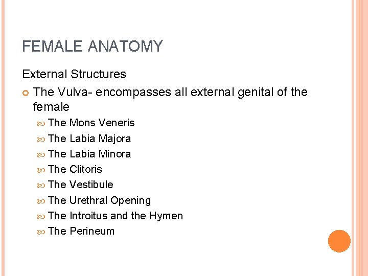 FEMALE MALE REPRODUCTIVE ANATOMY By Michelle Betenson FEMALE