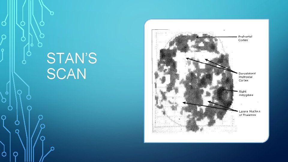 JUDGE DAVID NUFFER AND JUDGE CLARK WADDOUPS BOYCE