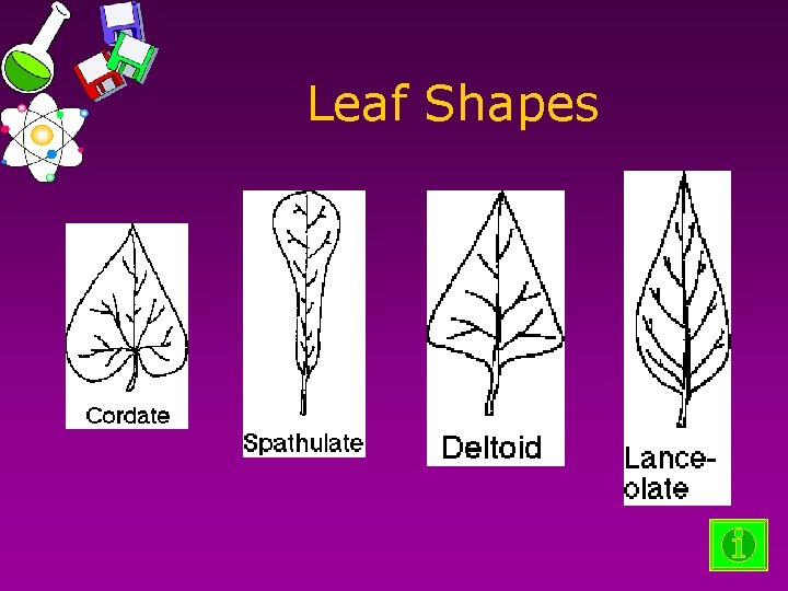 Scientific Classification of Plants 17 00 Apply procedures