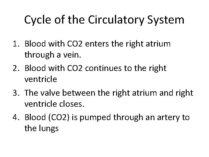Chapter 3 Lesson 1 Circulatory System I Circulatory
