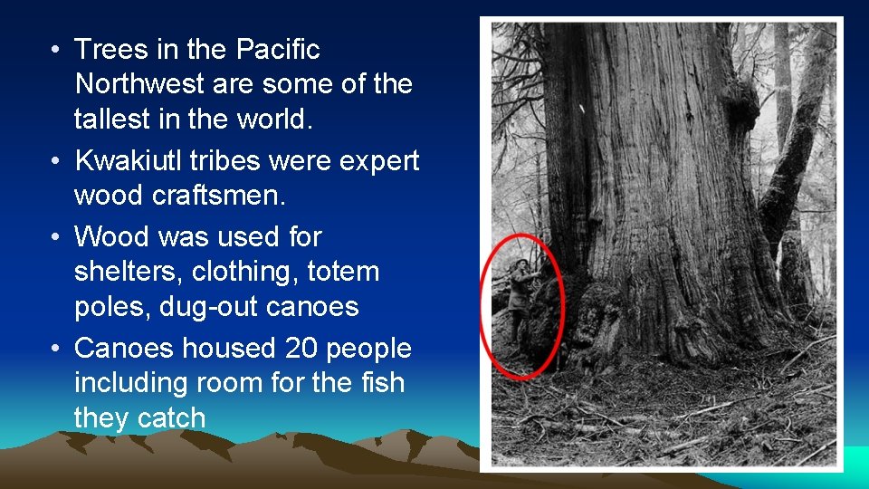 Kwakiutl Indians Where did they live Northwest coast