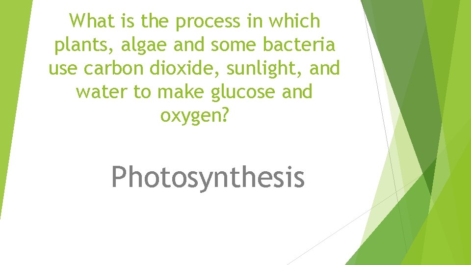 What is the process in which plants algae