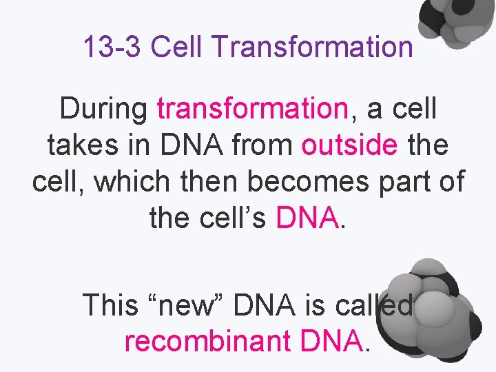 BIOTECHNOLOGY 01 DNA FINGERPRINTING GEL ELECTROPHORESIS Micropipette ...