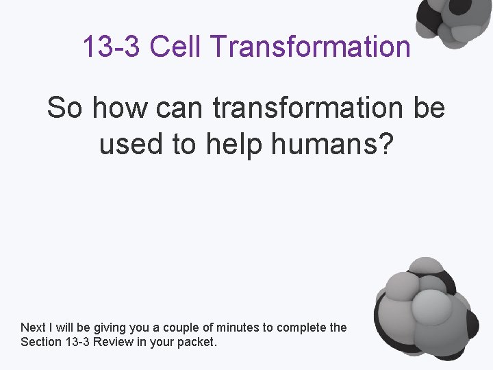 BIOTECHNOLOGY 01 DNA FINGERPRINTING GEL ELECTROPHORESIS Micropipette ...