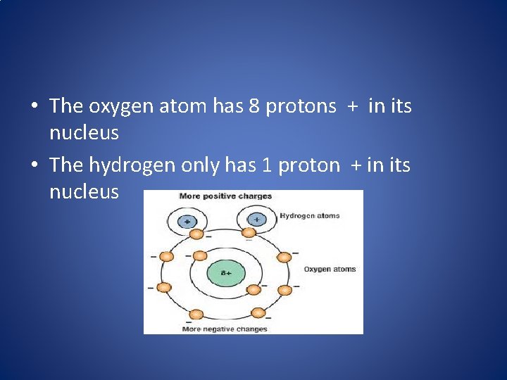 2 2 Water Most abundant compound in living
