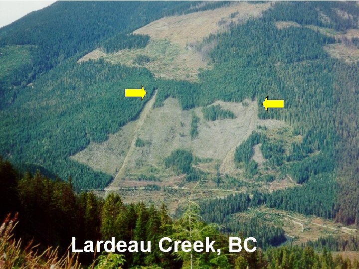 Terrain Stability Mapping Using the Arc View SINMAP
