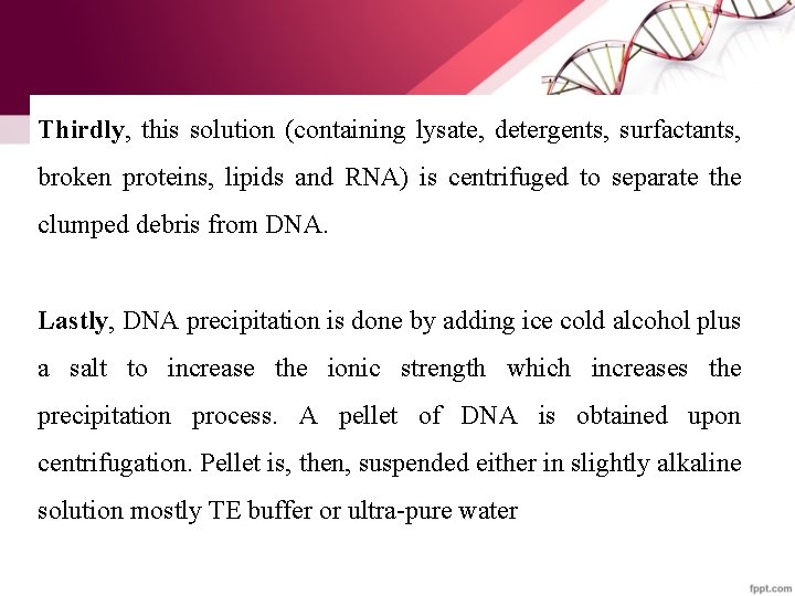 Genomic DNA Extraction Outline What is Deoxyribonucleic acid