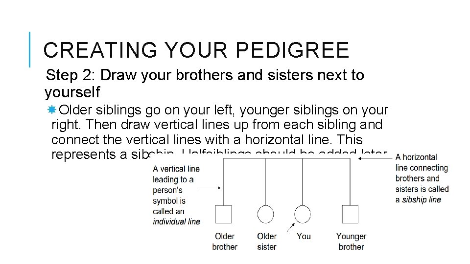 PEDIGREE WHAT IS A PEDIGREE A pedigree is