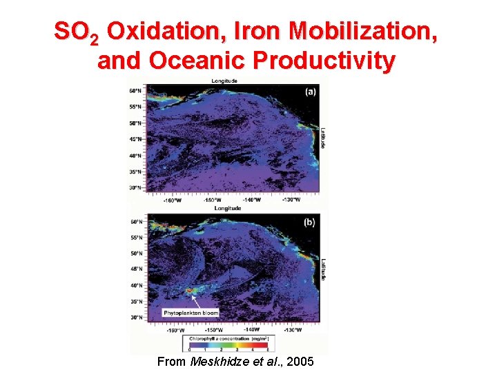 Marine biogenic emissions sulfate aerosol formation and climate