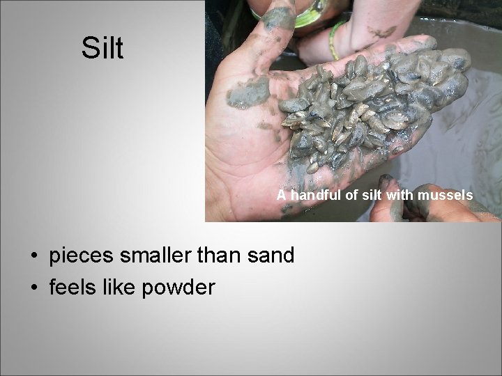 Types of Soil There are many types of
