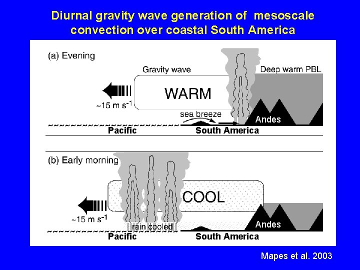 Robert Houze University of Washington with contributions from