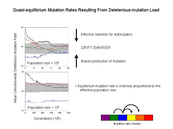 Evolution of Error Rates at the Levels of
