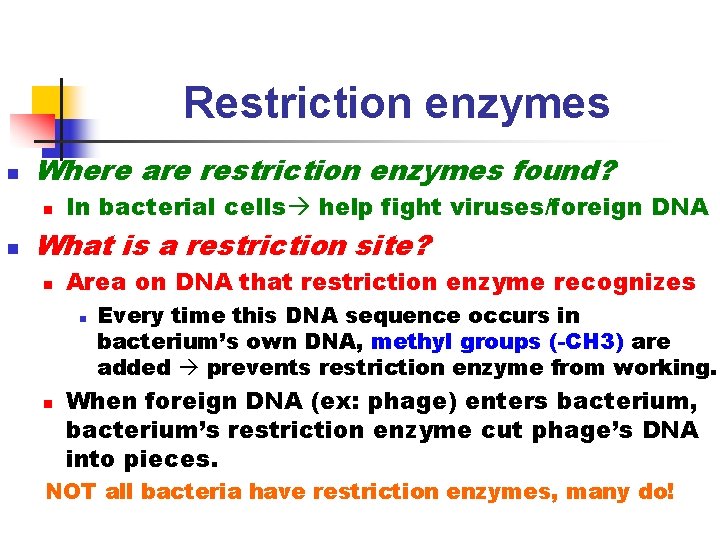 Biotechnology Part 1 DNA Cloning Restriction Enzymes and