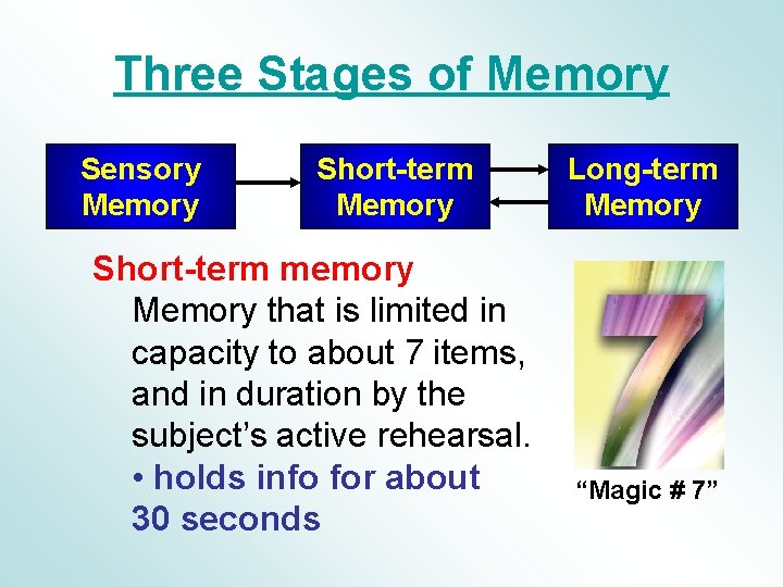Chapter 10 1 Taking in and Storing Information