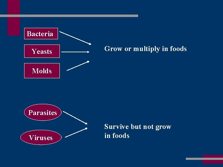 Food Microbiology 1 Unit 1 Taxonomy Historical Perspective