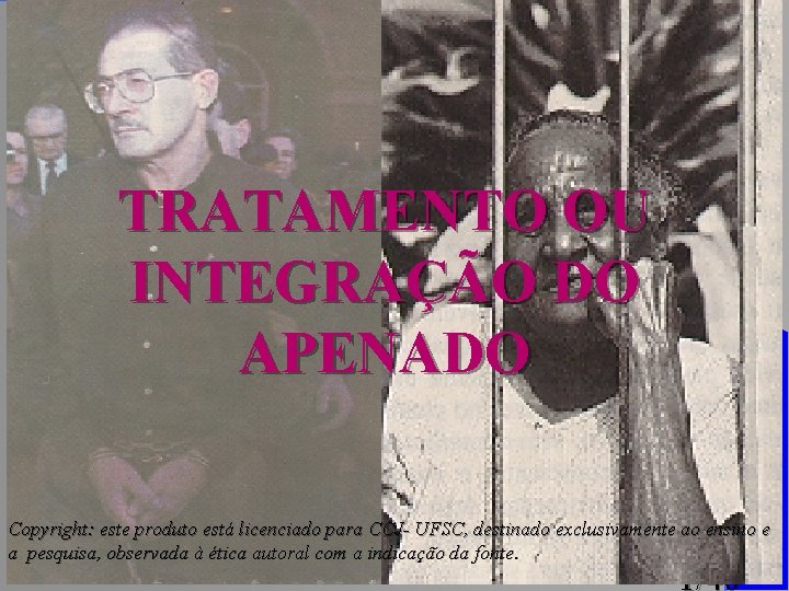 TRATAMENTO OU INTEGRAO DO APENADO Copyright este produto