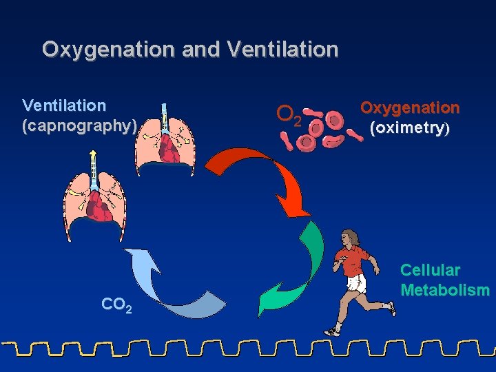 NONINVASIVE CAPNOGRAPHY ALS Blue InService Part III Oxygenation