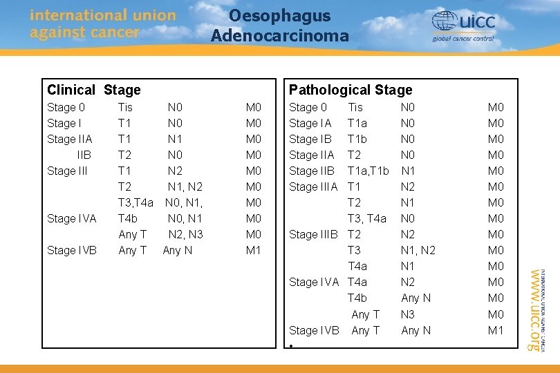 TNM Classification of Malignant Tumours th 8 edition