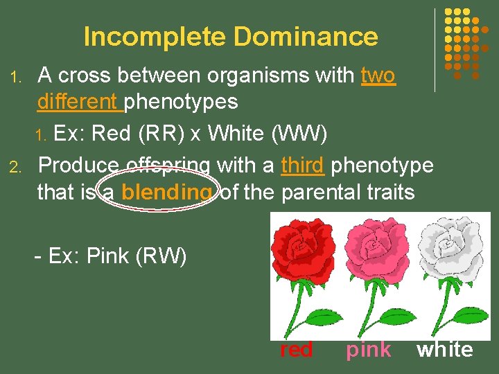 Non Mendelian Traits Mendelian Exceptions Incomplete Dominance 1