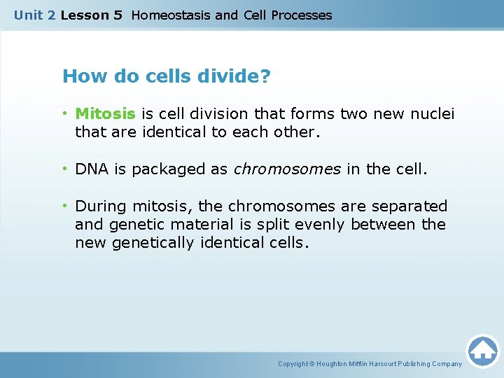 Unit 2 Lesson 5 Homeostasis and Cell Processes