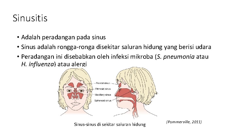 Penyakitpenyakit yang Disebabkan oleh Mikroba Patogen Kemampuan Akhir