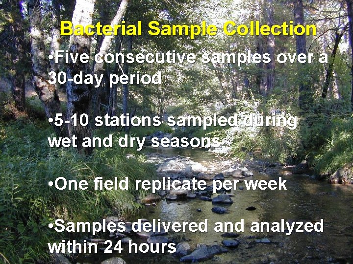 Volunteer Monitoring for Bacteria in San Francisco Bay