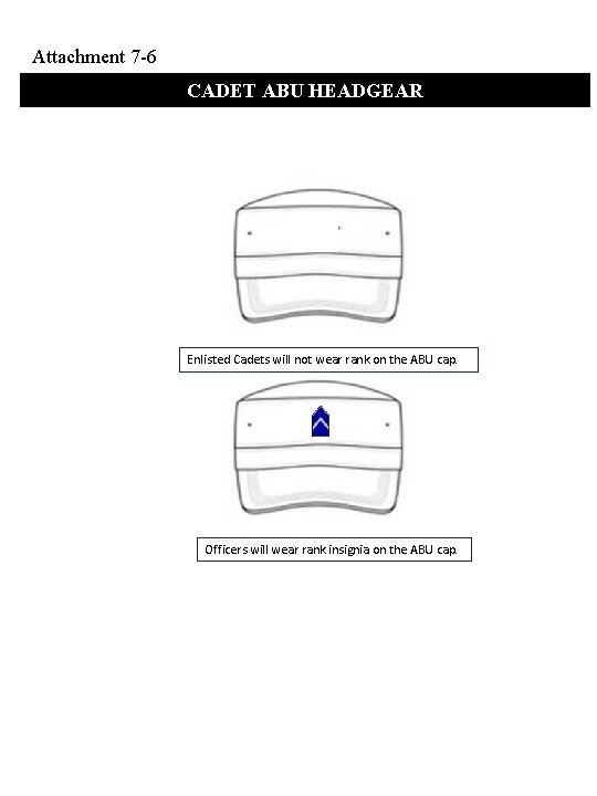 Attachment 7 1 AUTHORIZED AIR FORCE JROTC BADGES