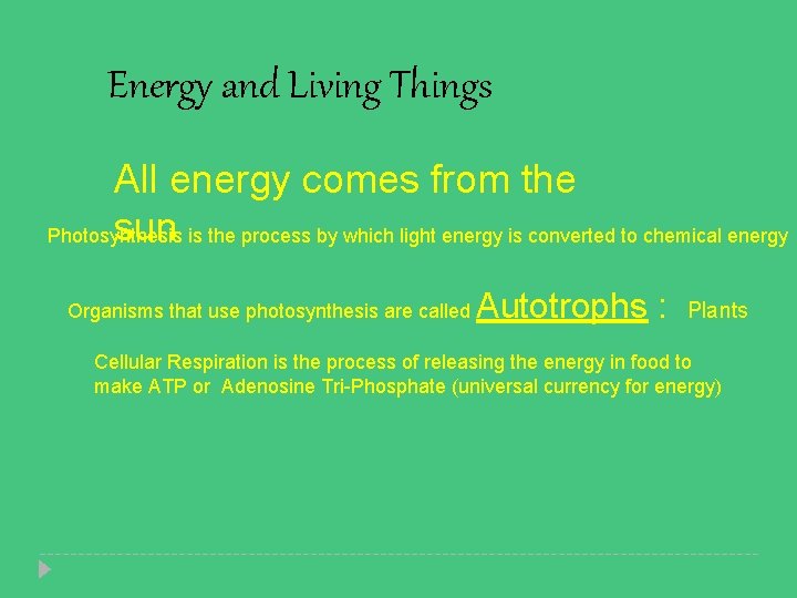 Energy and Living Things All energy comes from